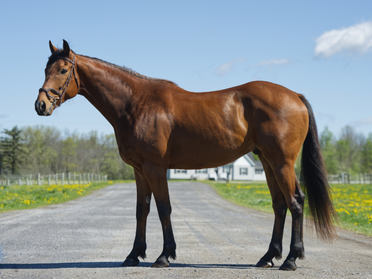 New Vocations
