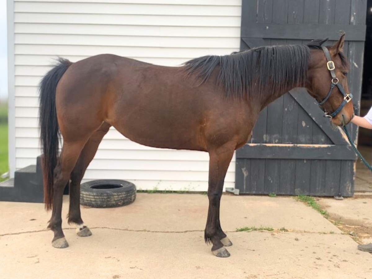 New Vocations