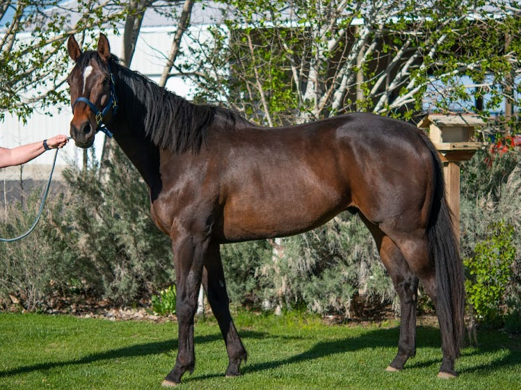 New Vocations