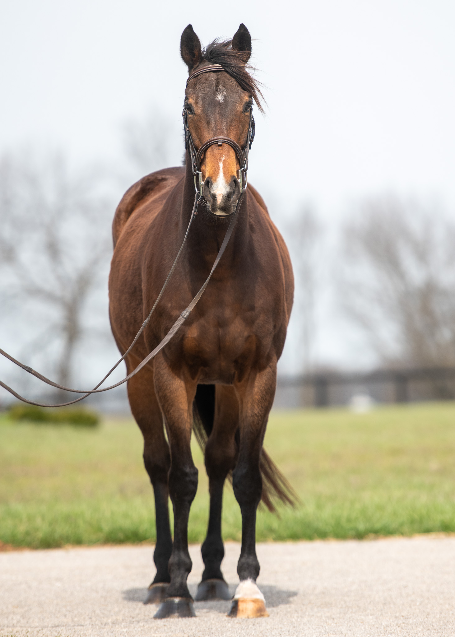 New Vocations