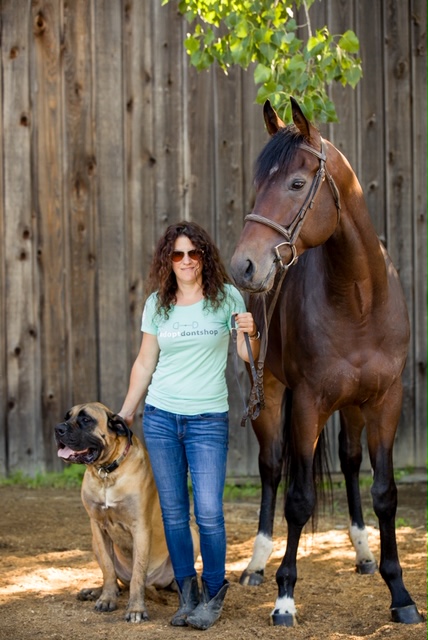 New Vocations